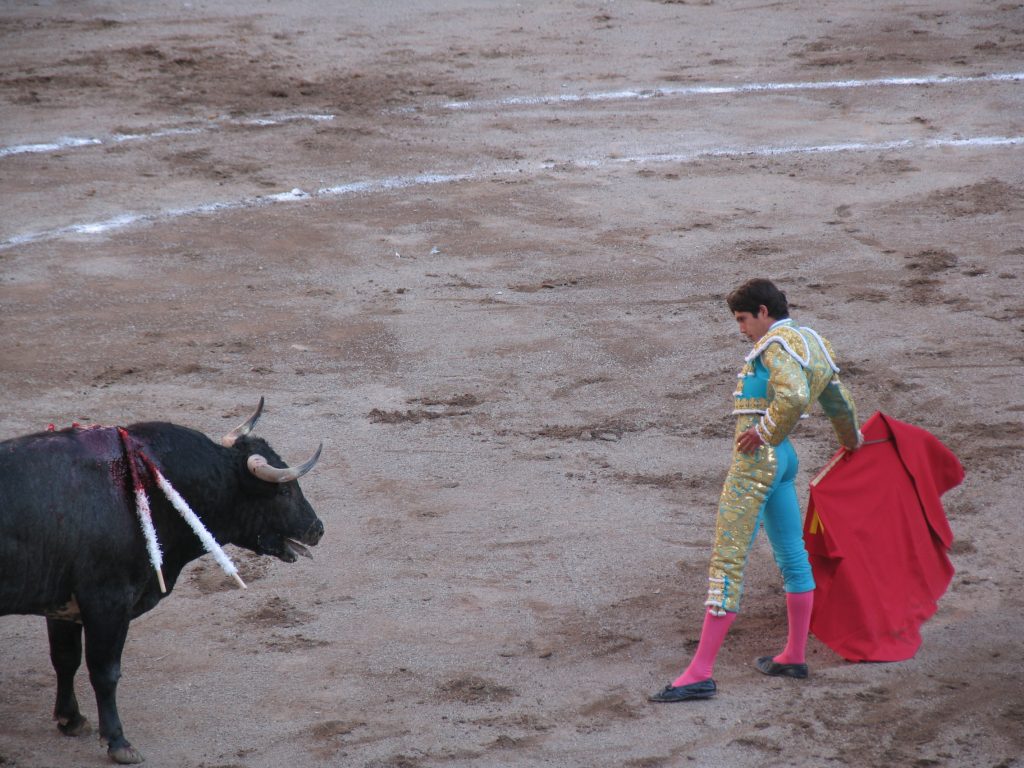 The end of Bullfighting in Spain? | Sheffield Live!