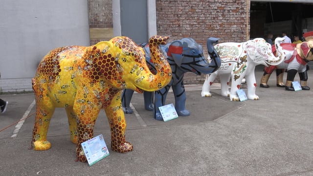 Fifty-eight elephants in trail around Sheffield | Sheffield Live!