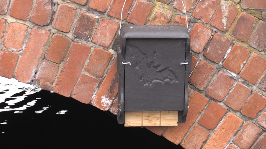 Bird and bat boxes installed in Kelham Island | Sheffield Live!