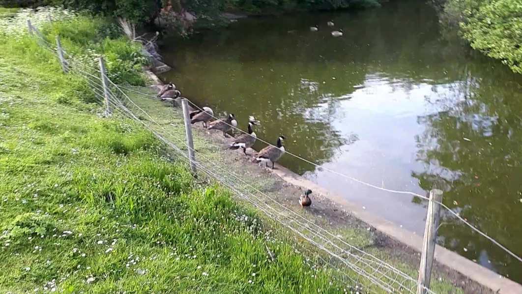 Fwd: Photograph by James Marples, Queens Park | Sheffield Live!