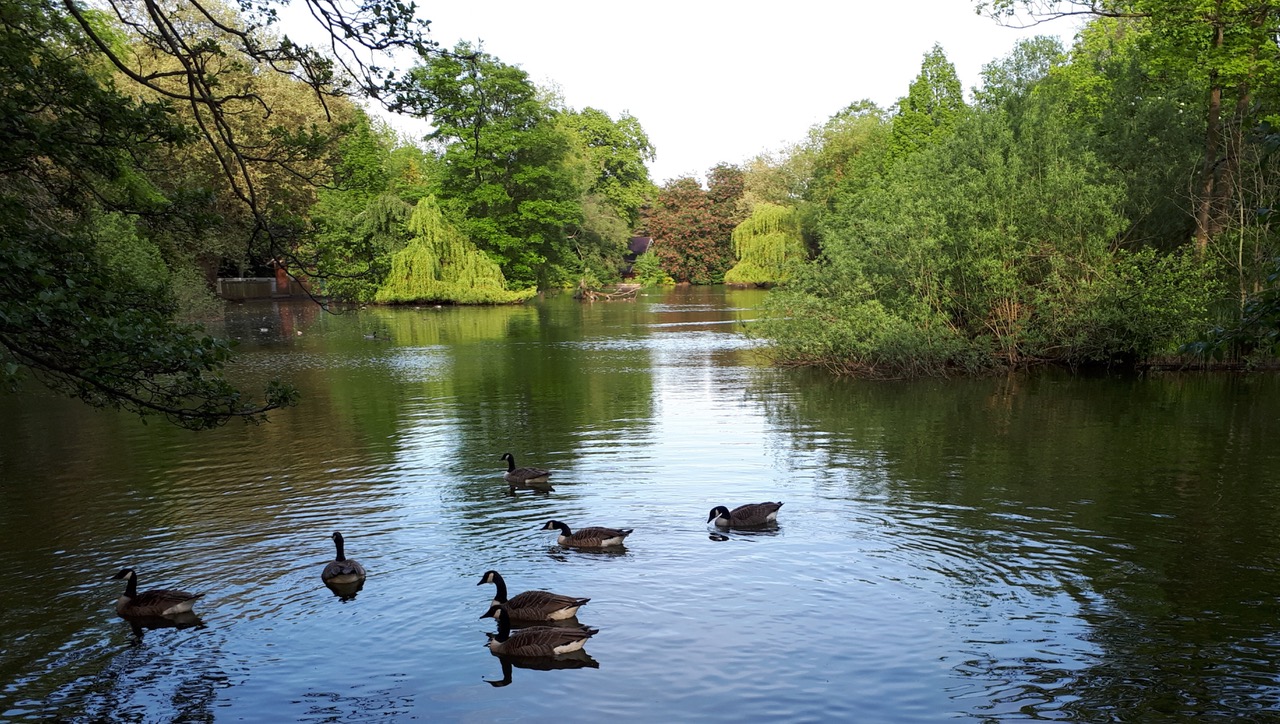 Fwd: Photograph by James Marples, Queens Park | Sheffield Live!