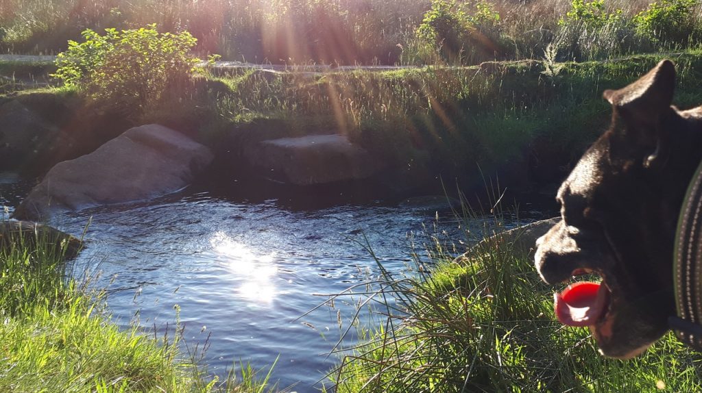 Fwd: Photograph by James Marples, Padley Gorge | Sheffield Live!