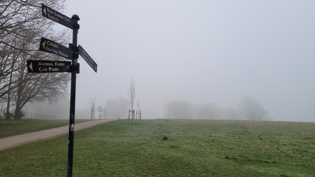 Fwd: Greg Howarth Misty Graves Park | Sheffield Live!