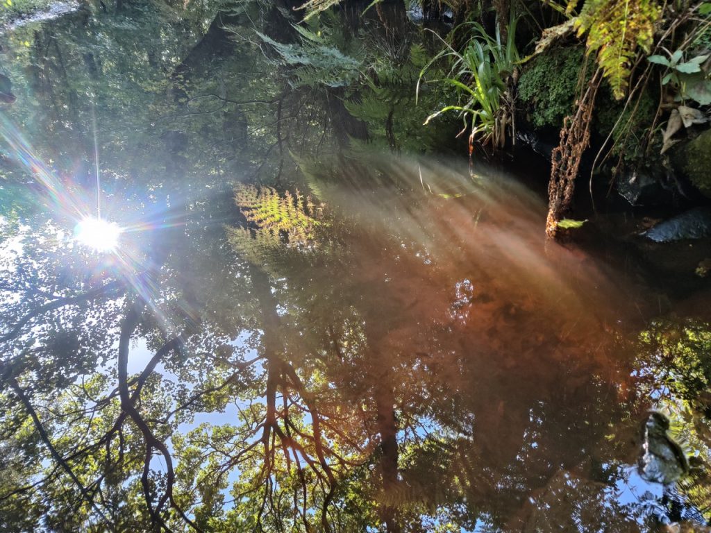 Fwd: More photos | Sheffield Live!